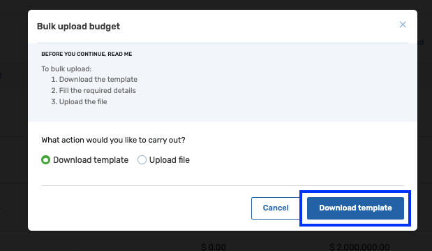 How to bulk upload budget