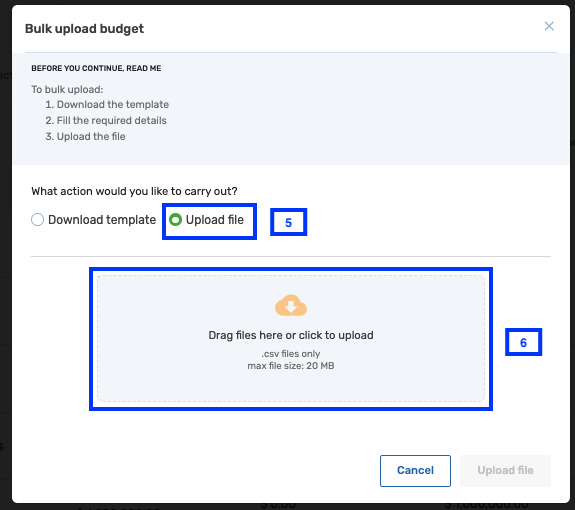 How to bulk upload budget